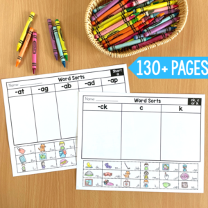 MEGA Phonics Worksheet Bundle (SCIENCE OF READING) - HUGE BUNDLE - My ...