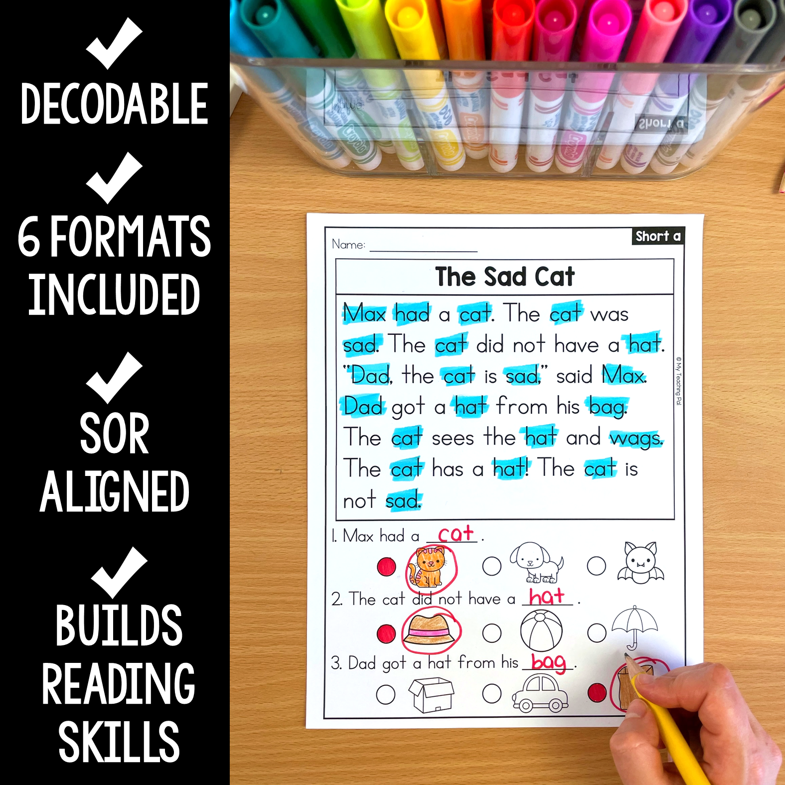 Decodable Reading Comprehension Passages Short Vowels CVC & Blends ...